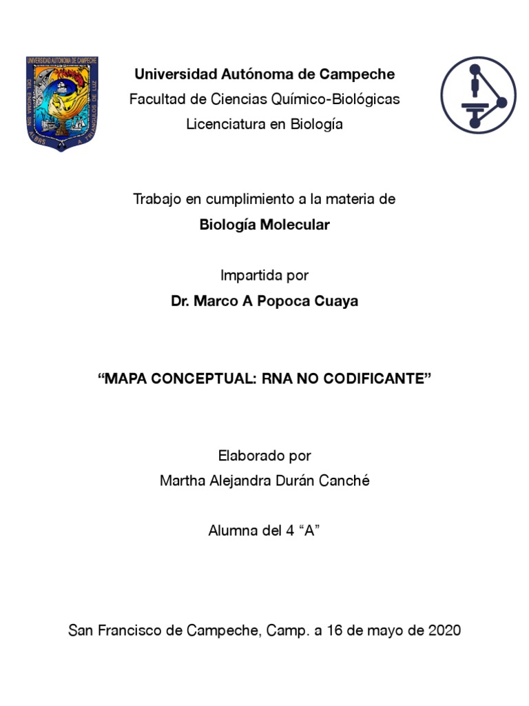 Mapa Conceptual Corregido | PDF