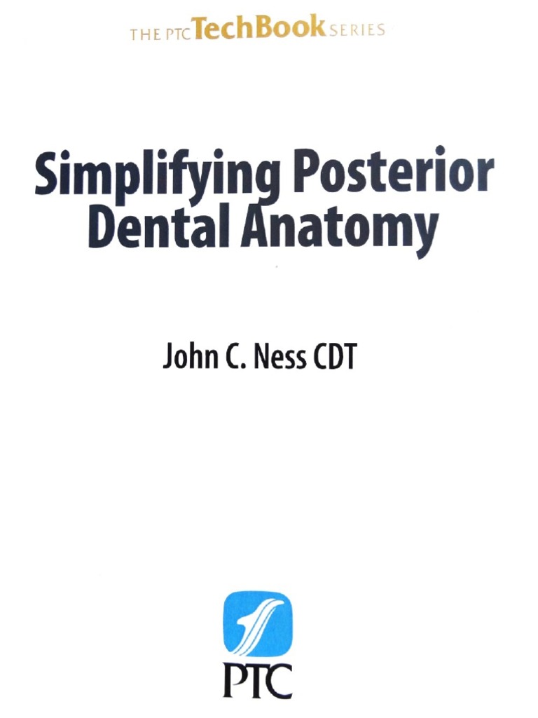 Simplifying Posterior Dental Anatomy | PDF