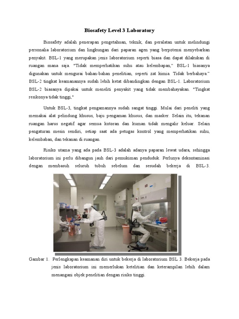 Biosafety Level 3 Laboratory | PDF