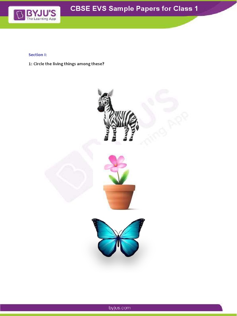 CBSE Sample Paper For Class 1 EVS | PDF | Senses | Foods