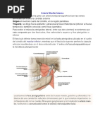 Arteria Maxilar Interna | PDF | Cabeza y cuello humanos | Anatomía humana