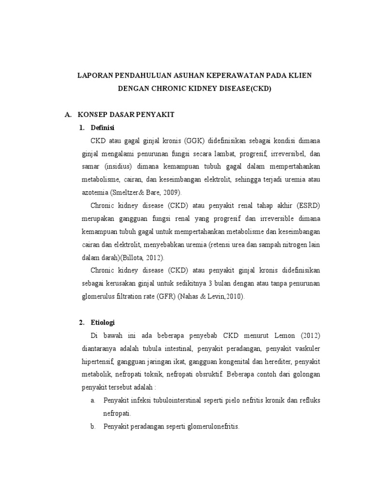 Asuhan Keperawatan pada CKD | PDF
