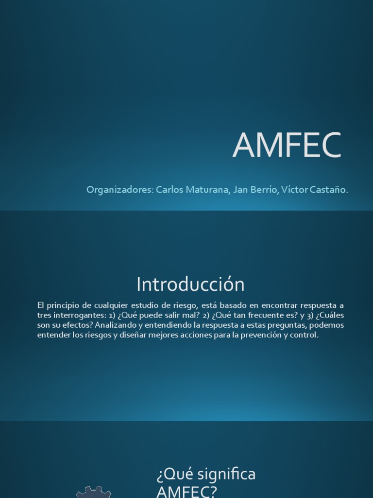 AMFEC | PDF | Planificación | Evaluación