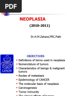 Endophytic and Exophytic Tumors | PDF