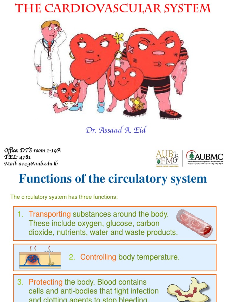 Cardiovascular System - Lecture 3-2018-2019 PDF | PDF | Heart ...