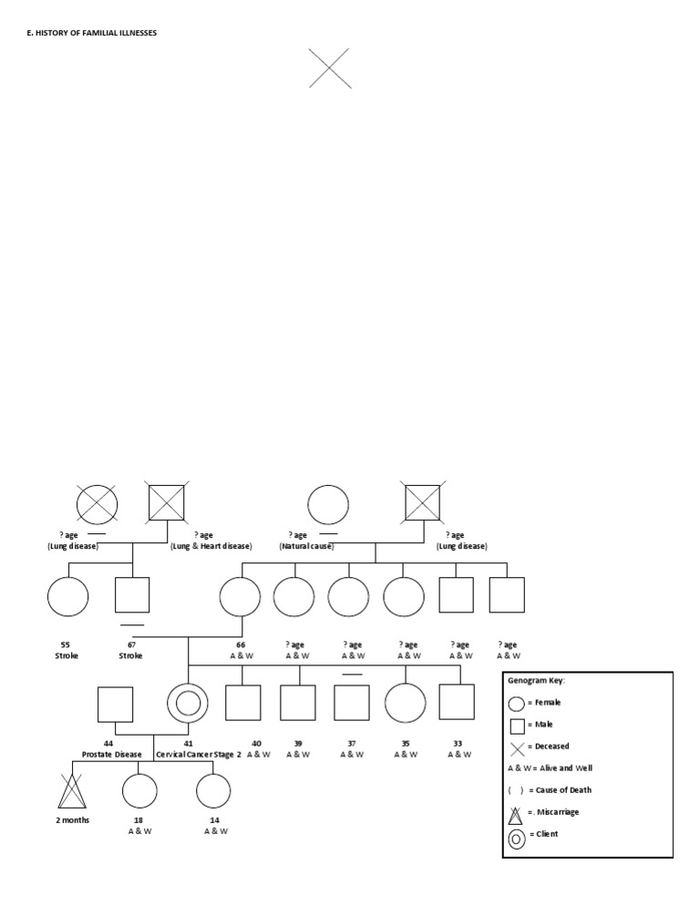 Final Genogram | PDF