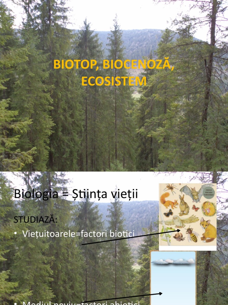 Biotop Biocenoza Ecosistem Clasa A 5a | PDF