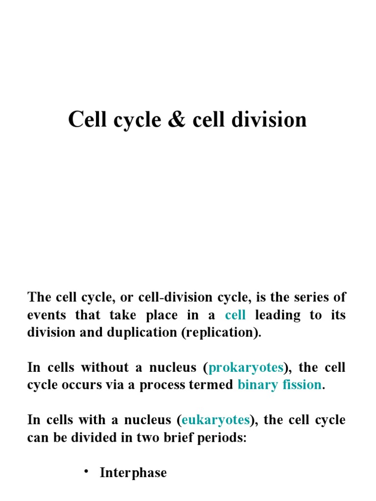 Cell Cycle & Division | PDF | Cell Biology | Mitosis