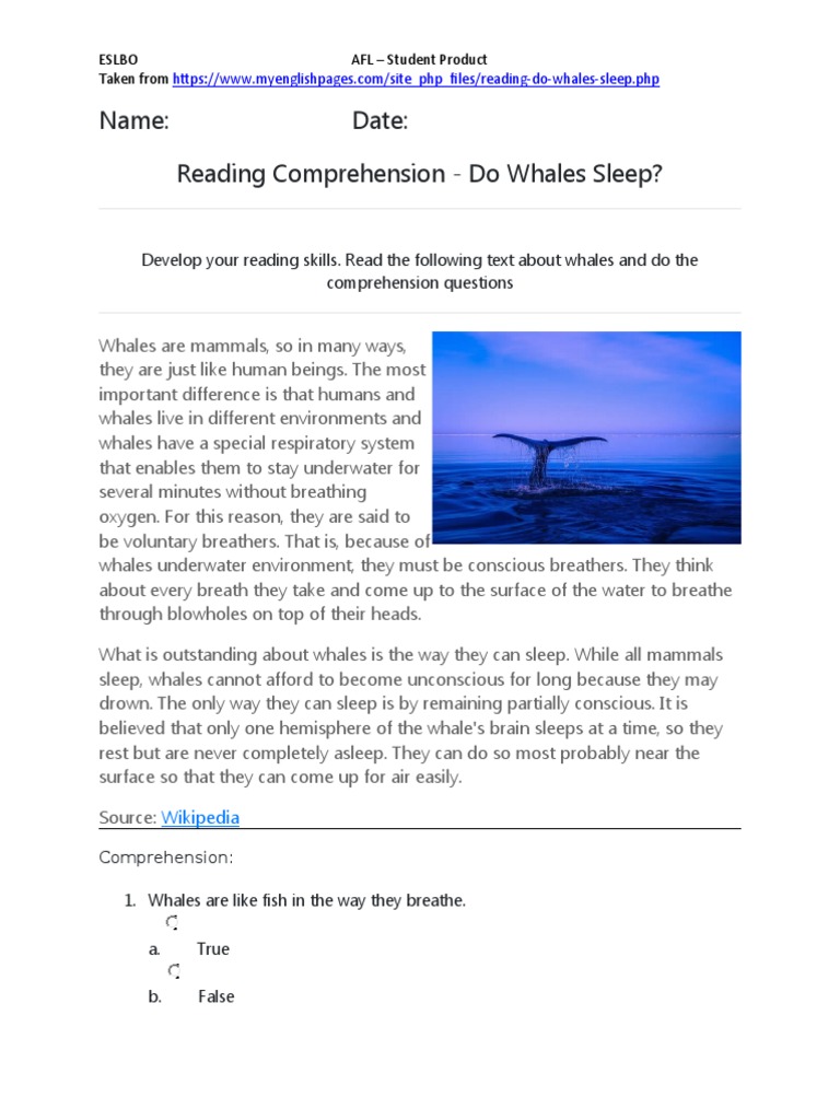 (L17) Do Whales Sleep Reading Comprehension | PDF