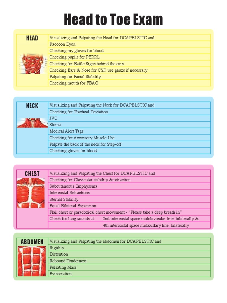 Head To Toe Exam: Chest | PDF | Thorax | Pelvis