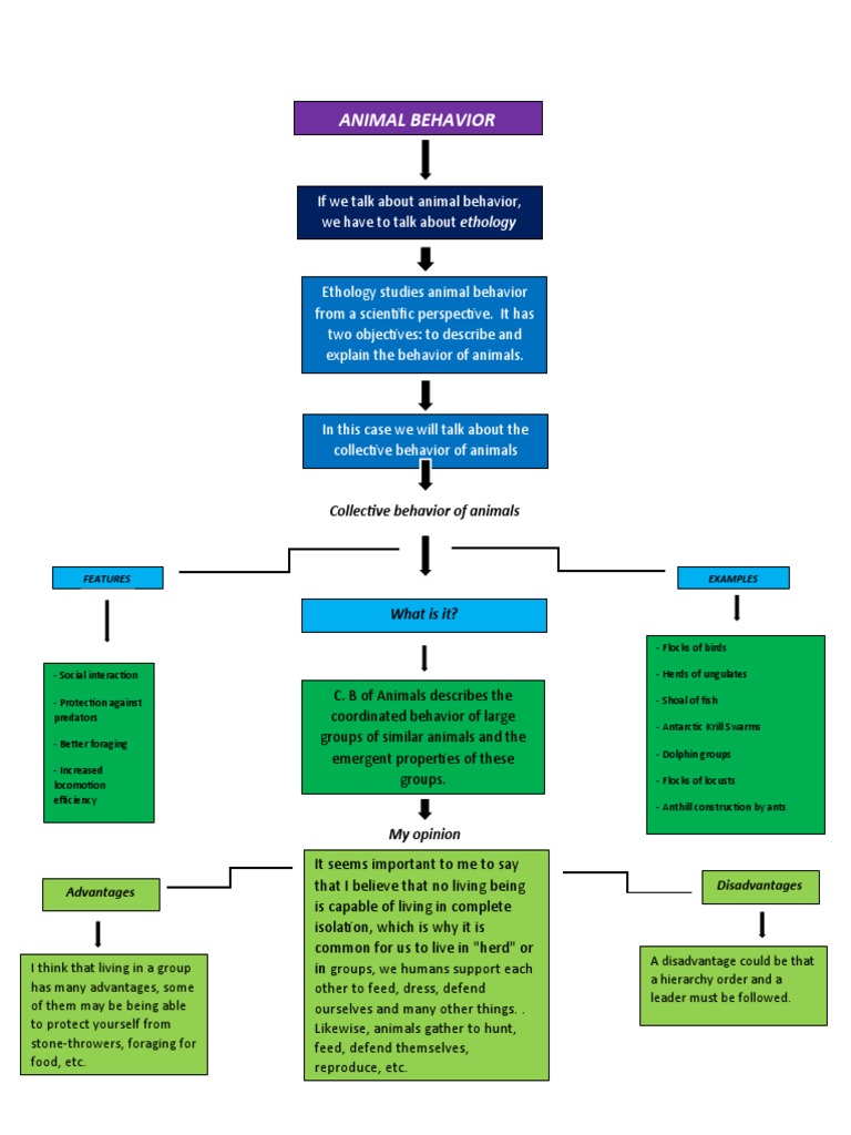 Animal Behavior: Collective Behavior of Animals | PDF | Herd | Ethology