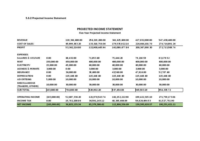 Five-Year Projected Income Statement for a Growing Business | PDF