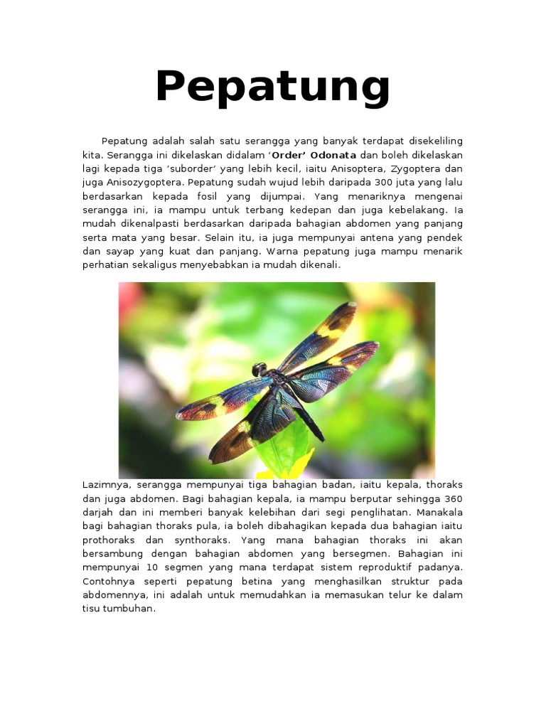 Pepatung | PDF