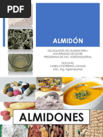 Estructura y tipos de almidón en granos | PDF | Almidón | Bioquímica