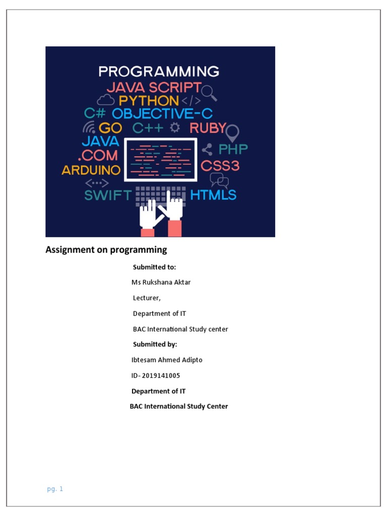 Assignment On Programming | PDF | Debugging | Computer Program