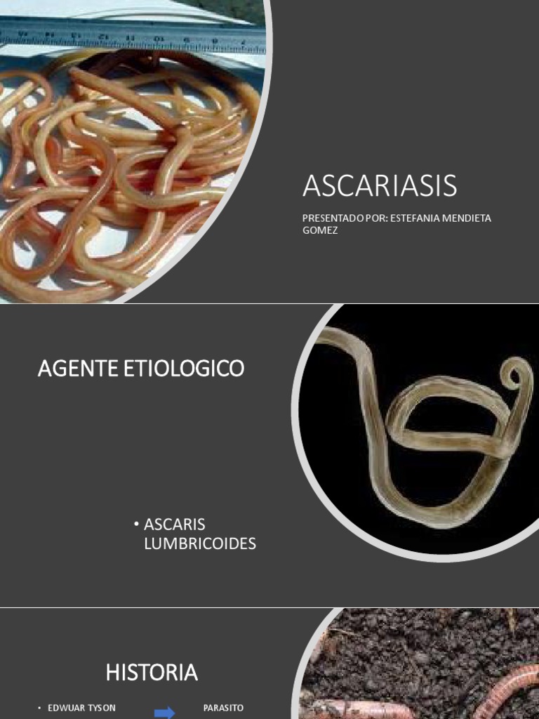 ASCARIASIS | PDF