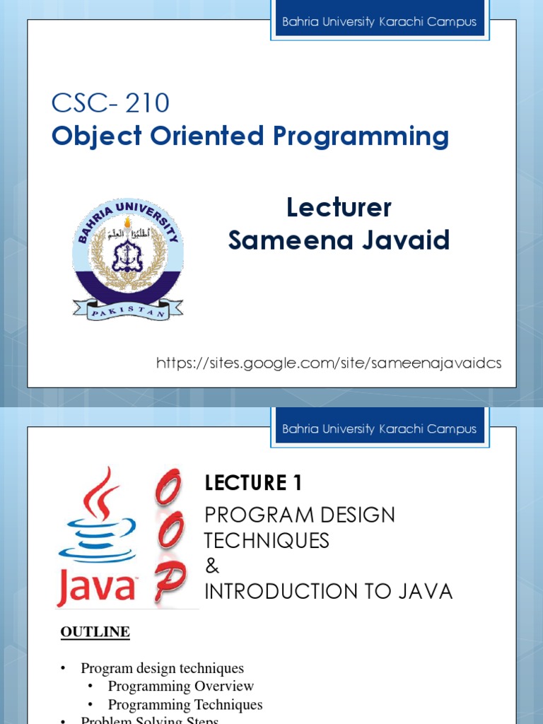 01-Program Design Techniques and Java | PDF | Object Oriented Programming | Modular Programming