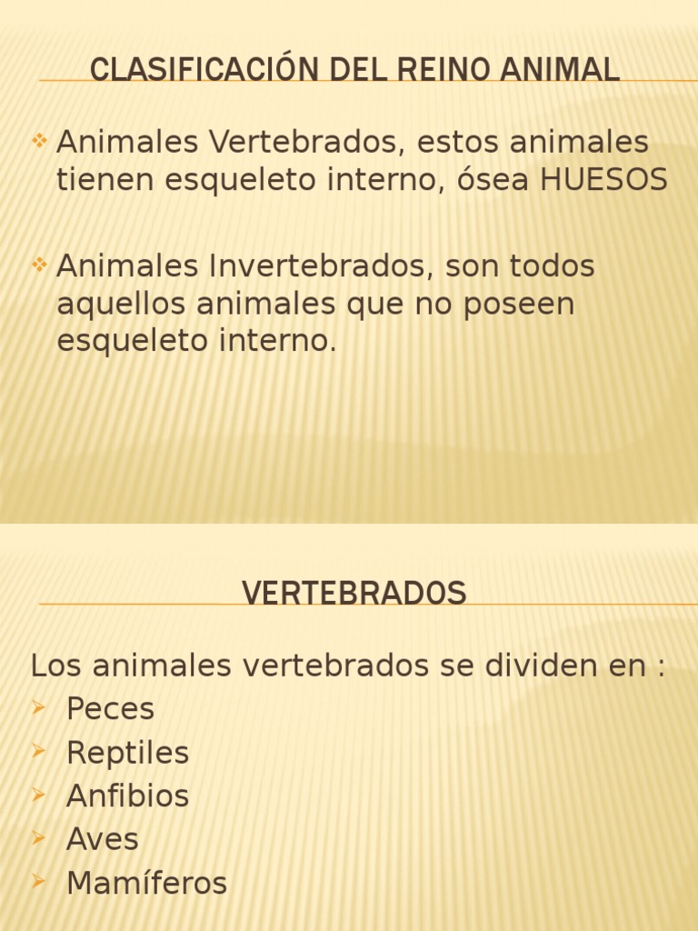 Clasificación Del Reino Animal | PDF