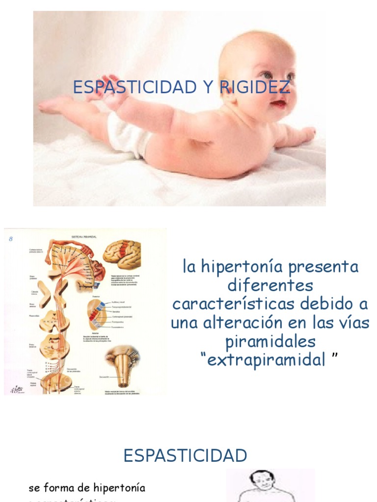 ESPASTICIDAD | PDF | Músculo | Neurología
