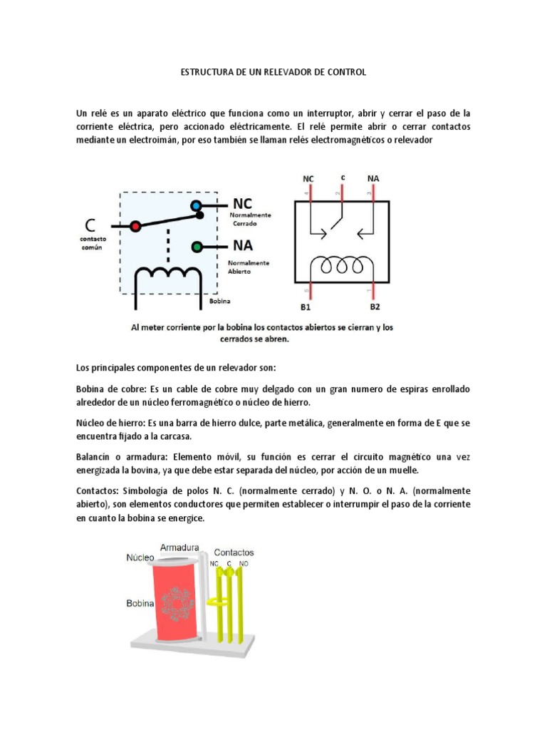 Estructura de Un Relevador de Control | PDF
