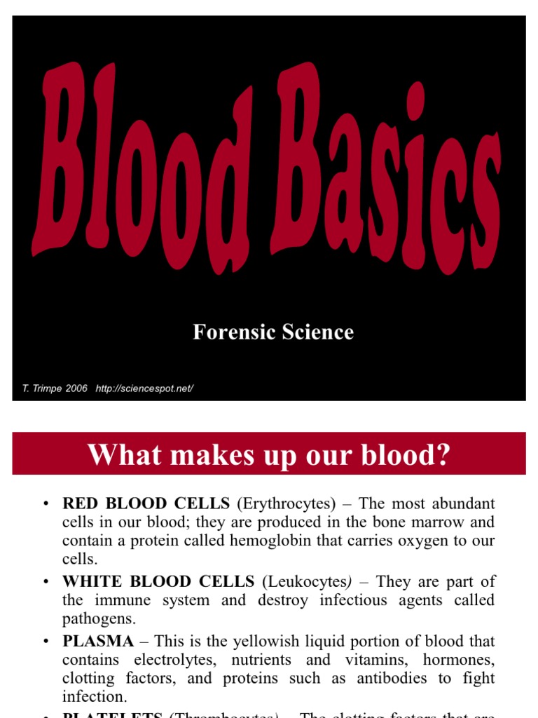 Blood Basics | PDF | Blood | Blood Cell