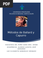 Escala de Capurro | PDF