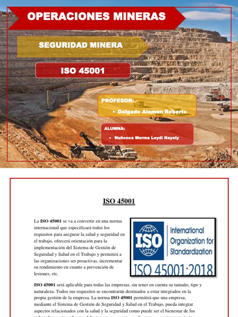 ISO 45001 Seguridad Minera PDF | PDF | Business | Economias