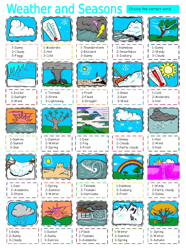 Weather and Seasons Activities Promoting Classroom Dynamics Group Form ...