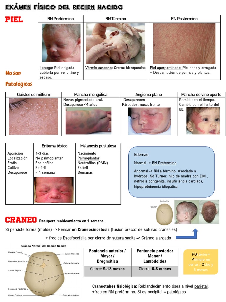 Exámen Físico Del Recien Nacido | PDF | Cráneo | Parto