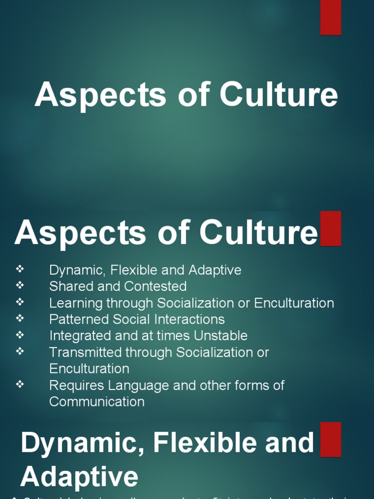 Aspects of Culture | PDF | Socialization | Linguistics