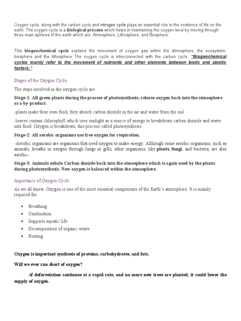 Stages of The Oxygen Cycle | PDF
