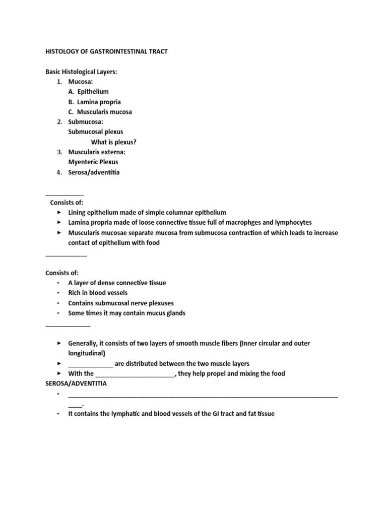 Notes On Digestive | Download Free PDF | Stomach | Gastrointestinal Tract