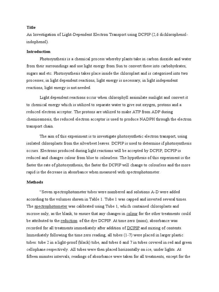 Photosynthesis Lab Report | Download Free PDF | Photosynthesis | Biology