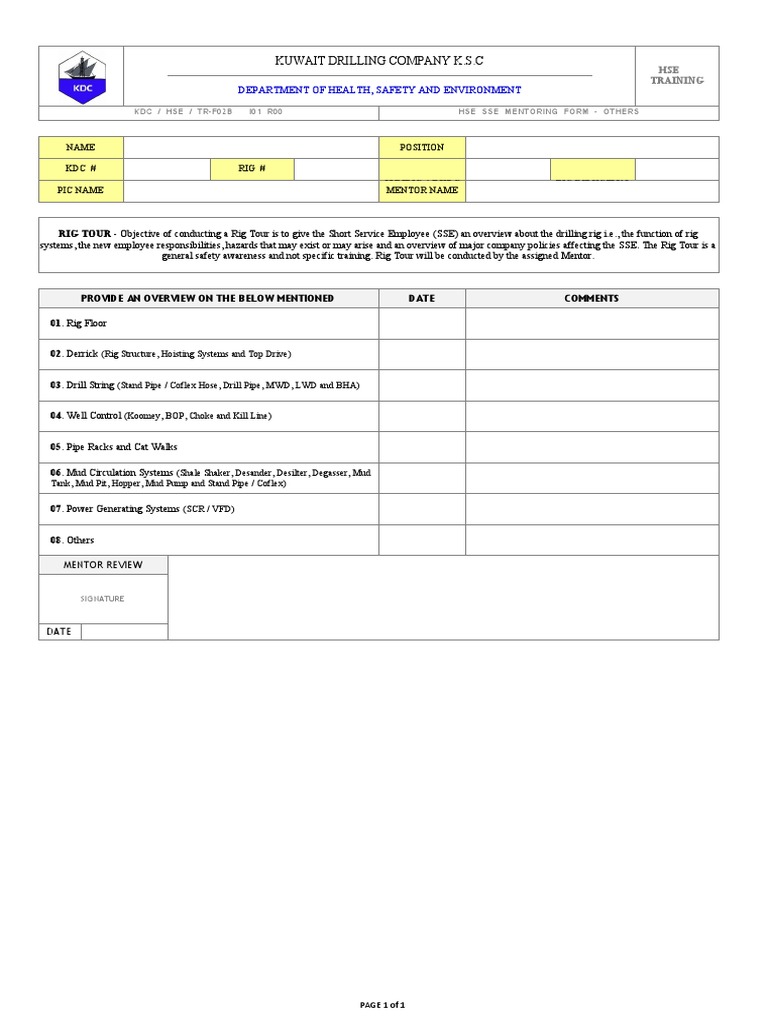 HSE SSE Mentoring Form Guide | PDF