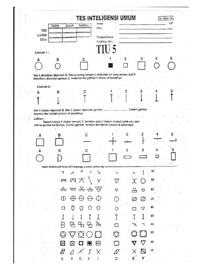 Test Tiu 5 PDF | PDF