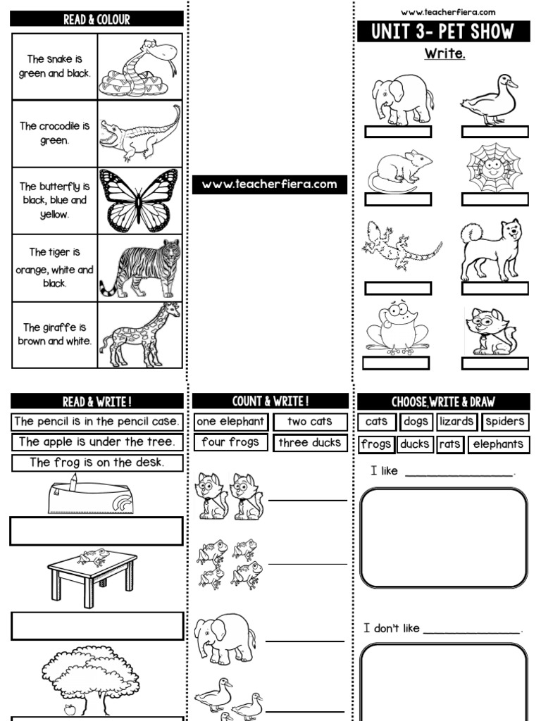 Brochure Unit 3 Pet Show | PDF