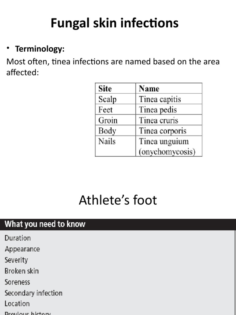 Fungal Skin Infections: - Terminology: Most Often, Tinea Infections Are ...