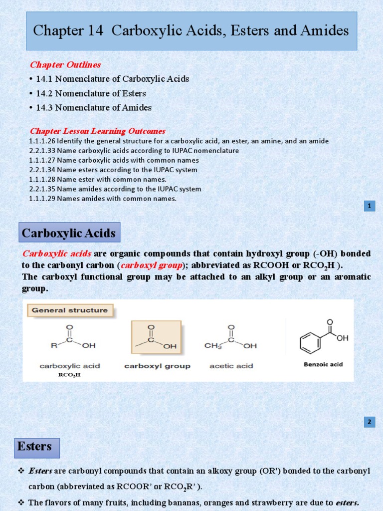 Chapter 14 Carboxylic Ester Amides PDF | PDF | Ester | Amide