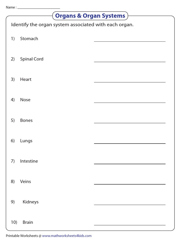 Organs & Organ Systems: Identify The Organ System Associated With Each ...