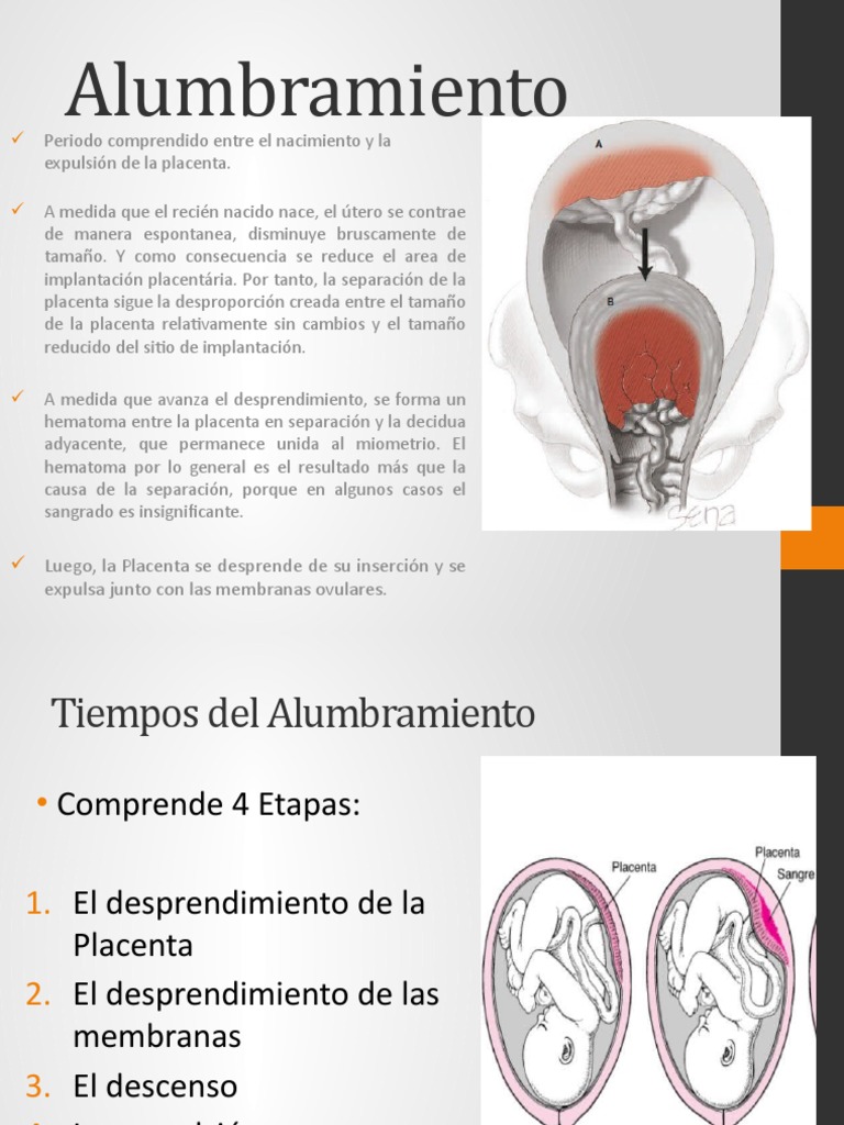 Alumbramiento Obstetricia | PDF | Placenta | Útero
