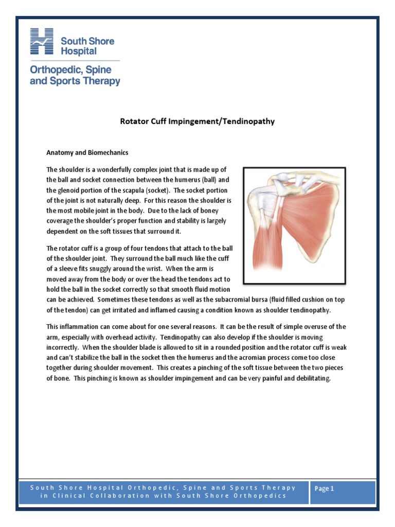 Rotator Cuff Impingement PDF | PDF | Shoulder | Anatomical Terms Of Motion