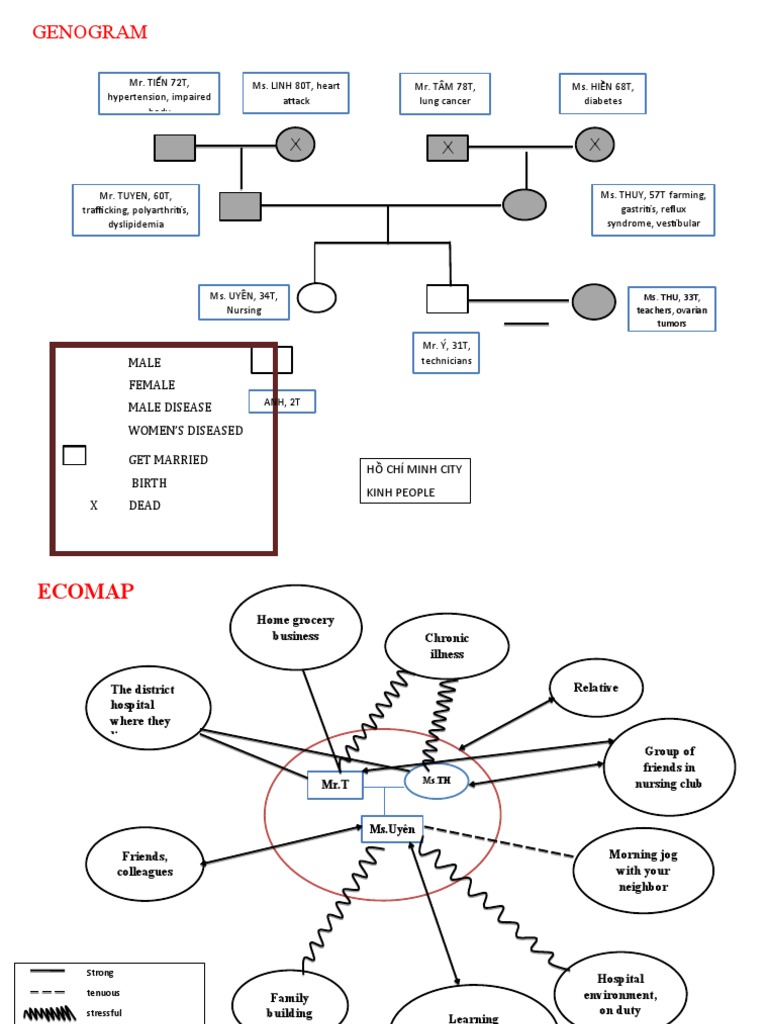 Genogram: Male Female Male Disease Women'S Diseased Get Married Birth X ...