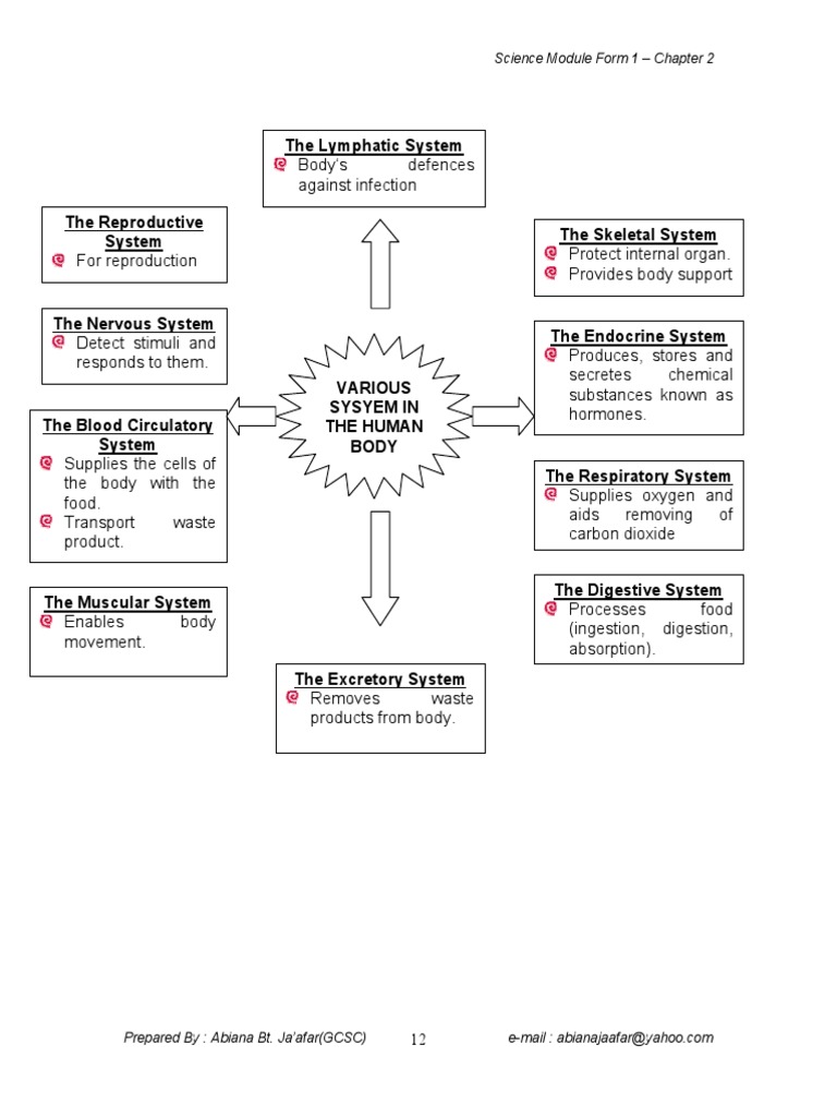Science Module Form 1 - Chapter 2 | PDF