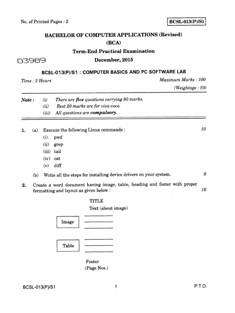 Bachelor of Computer Applications (Revised) (BCA) Term-End Practical ...