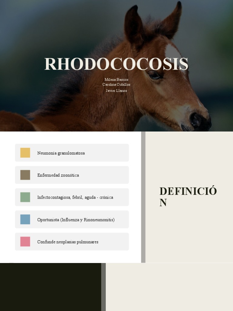 Rhodococcus Equi | PDF | Influenza | Epidemiología