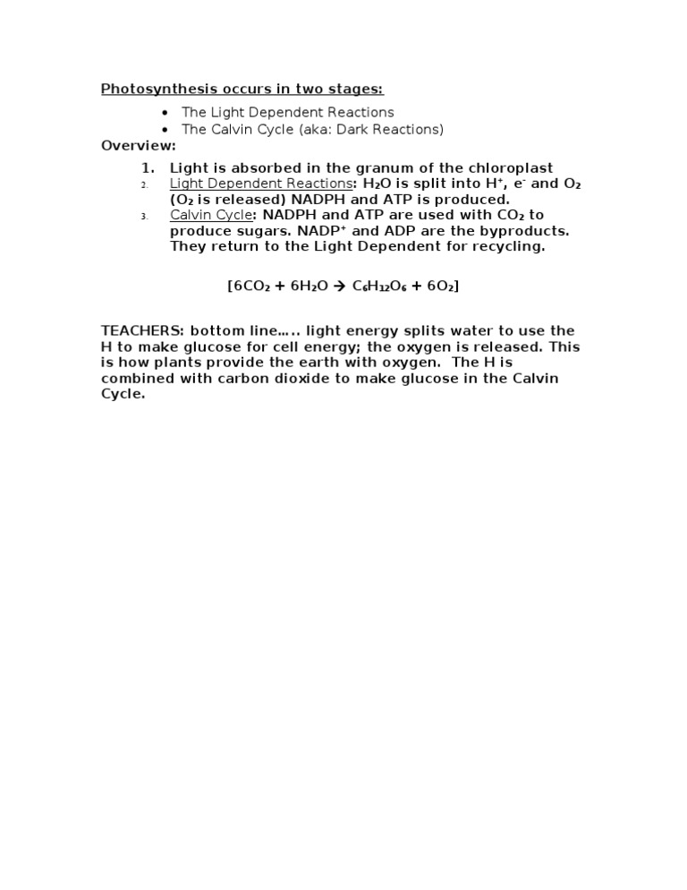 Photosynthesis 1 | PDF