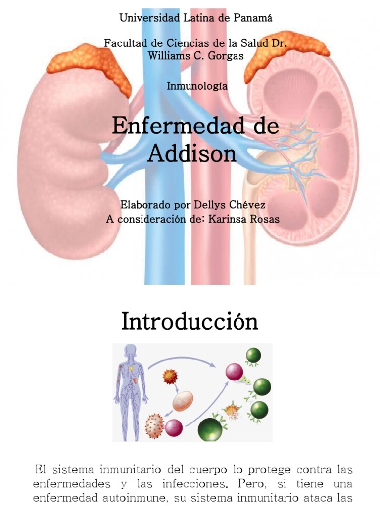 Enfermedad de Addison | PDF | Glándula suprarrenal | Hormona ...