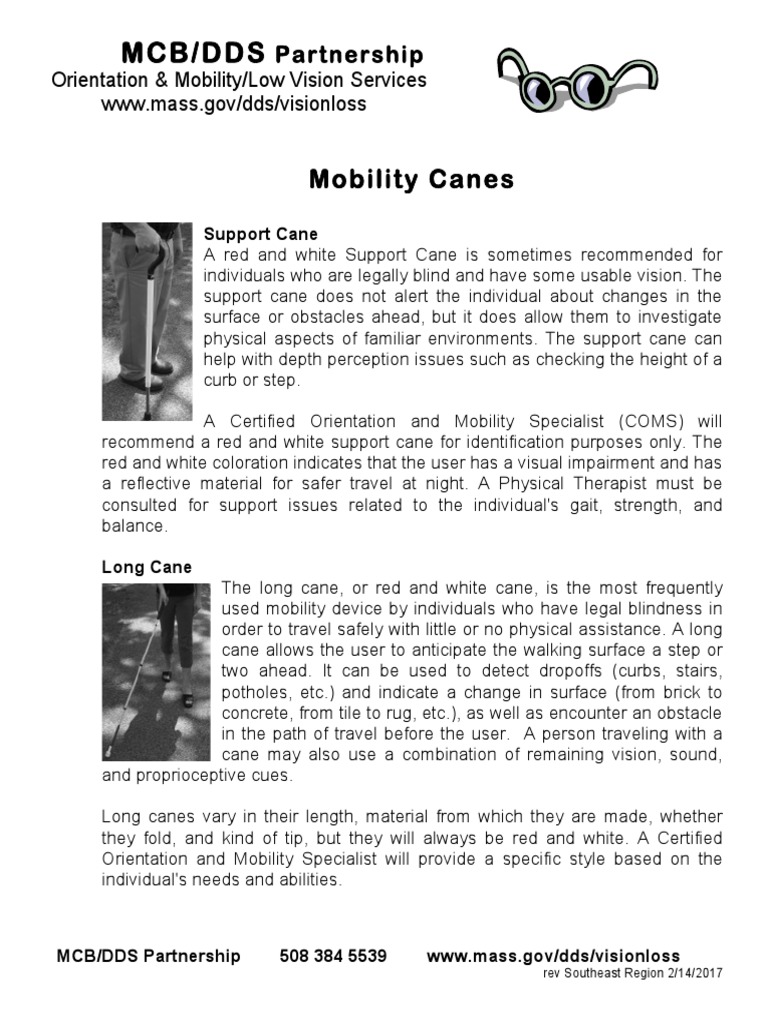 MCB/DDS: Mobility Canes | PDF | Visual Impairment