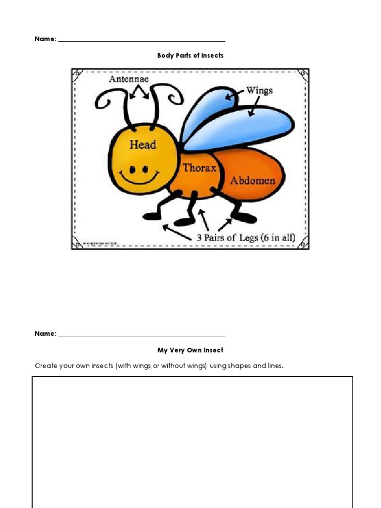 Body Parts of Insects 5 - 20 | PDF
