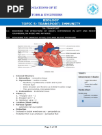 Circulatory System | PDF | Heart | Artery